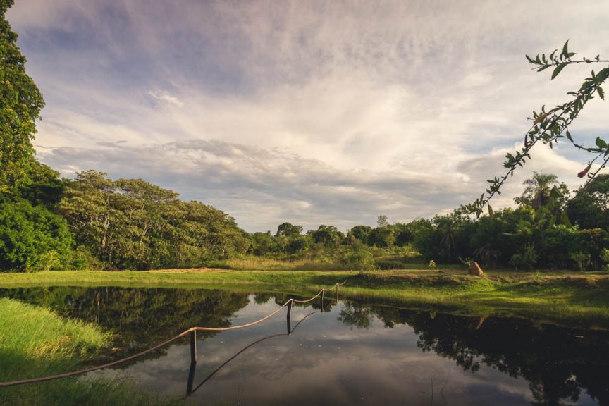 A breakdown, wild animals and change of direction (Brazil) - worldvespa.net
